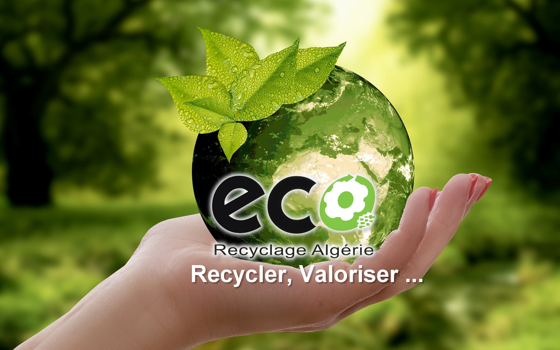 ECO RECYCLAGE ALGERIE : Recyclage batteries en plomb